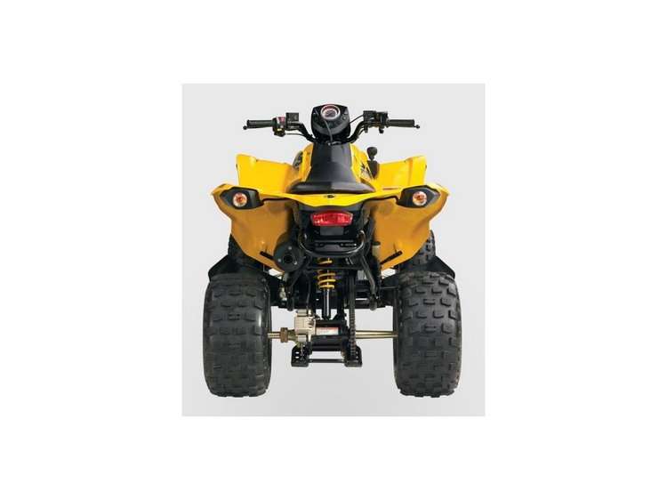 BRP DS 250 - цена, технические характеристики и фото спортивного ...